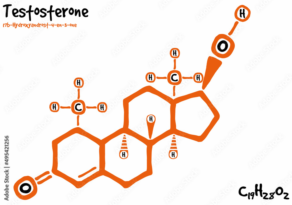 Large and detailed isolated drawn molecule and formular of Testosterone ...