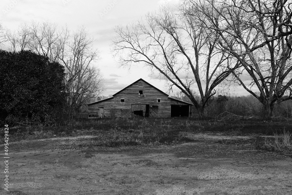 black and white spooky barn haunted old barn farm scene halloween ...