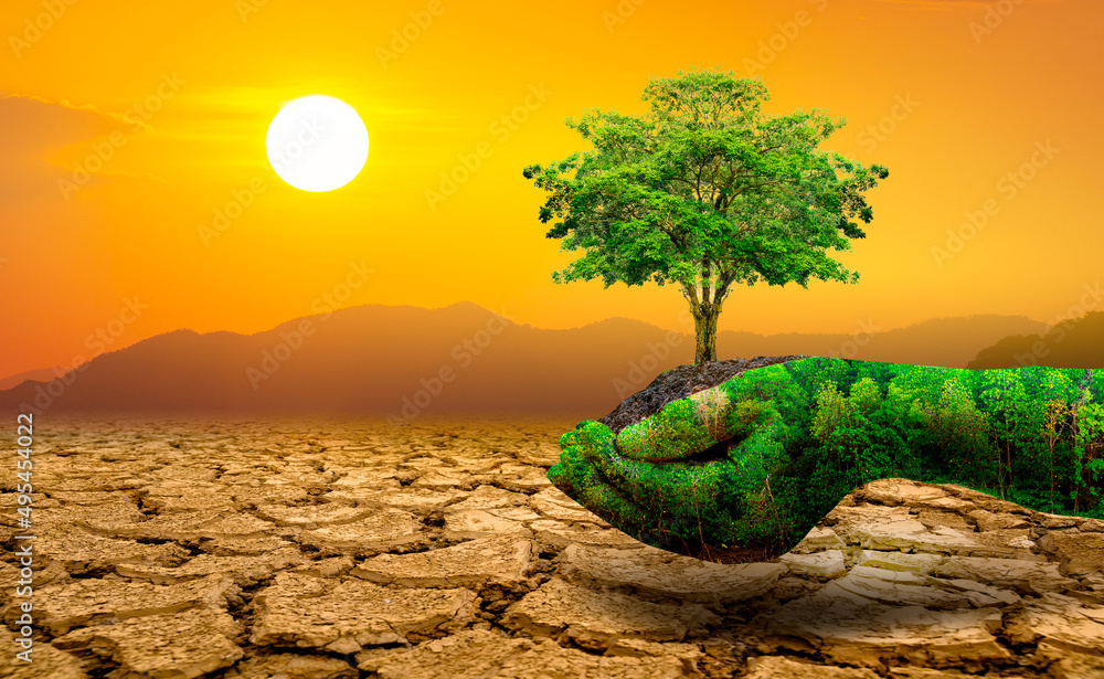 tree in two hands with very different environments Earth Day or World ...