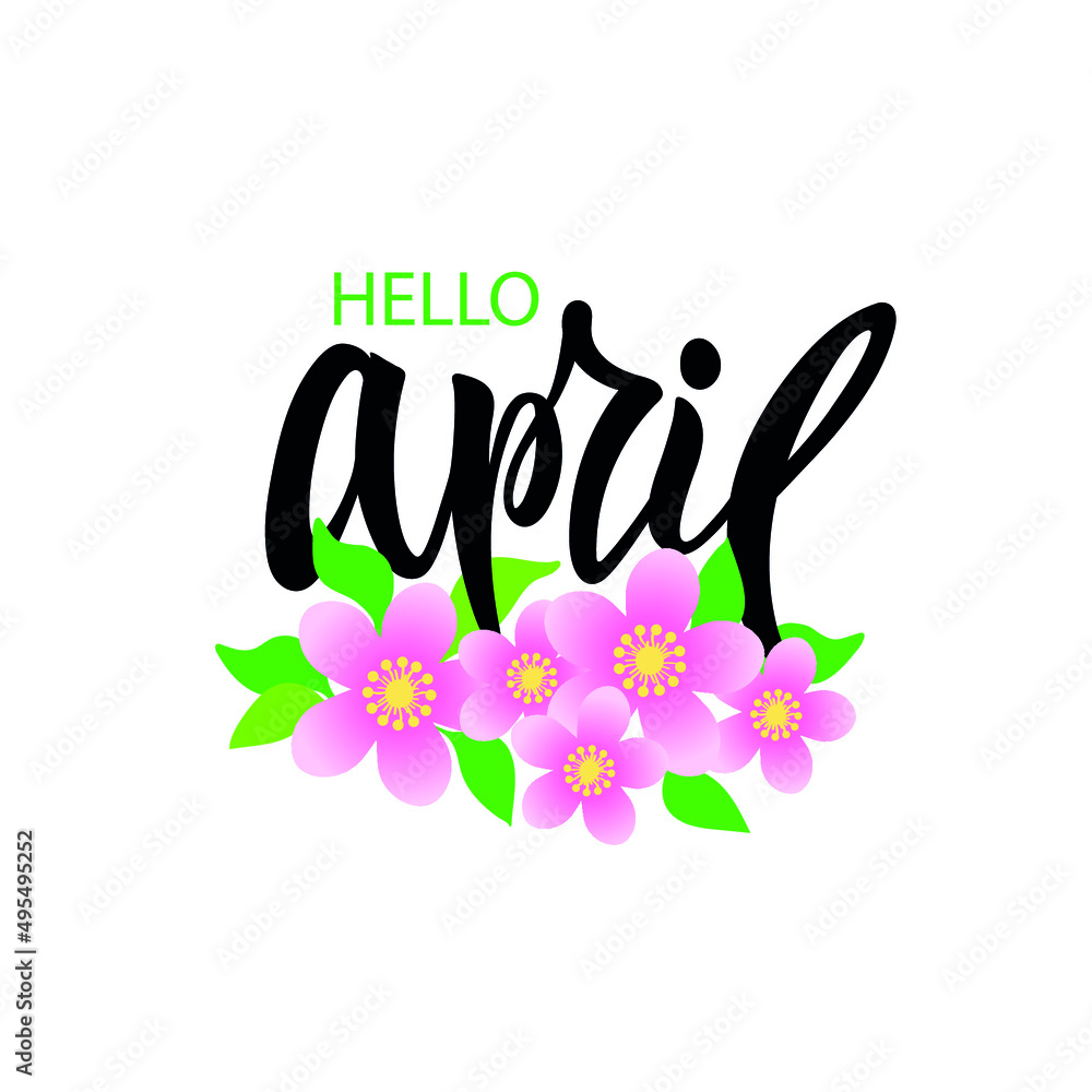 Hello April handwritten text with flowers isolated on white background ...