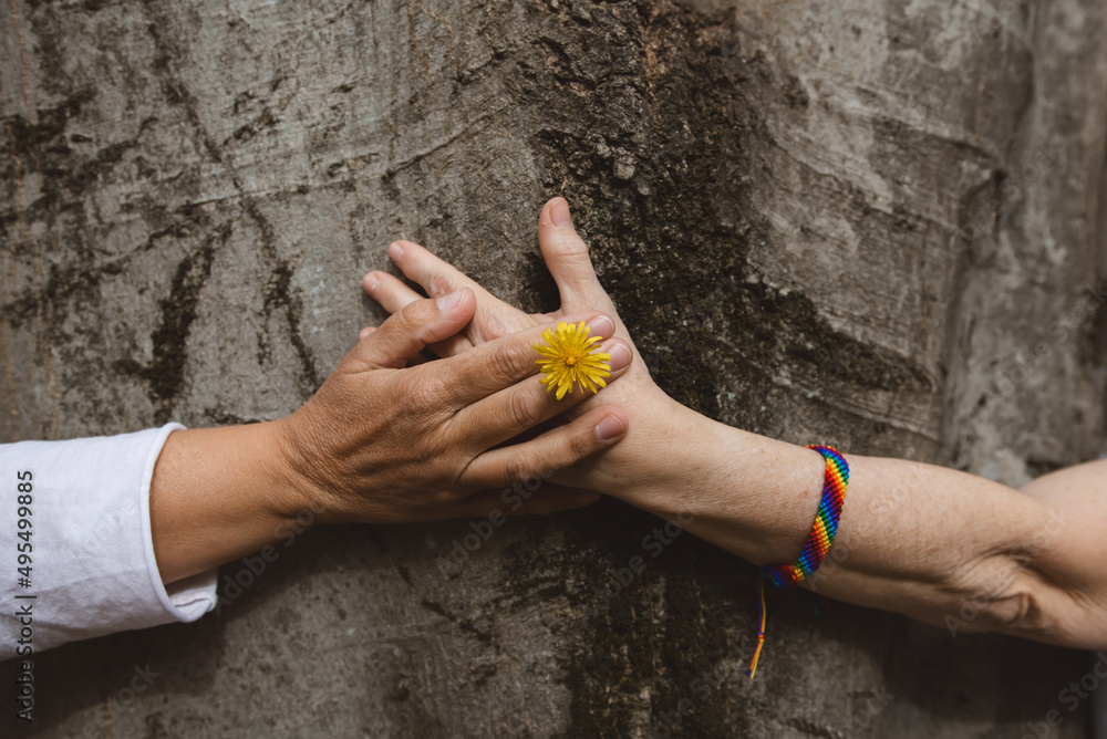 hand of LGBT women holding together a three with a rainbow bracelet ...
