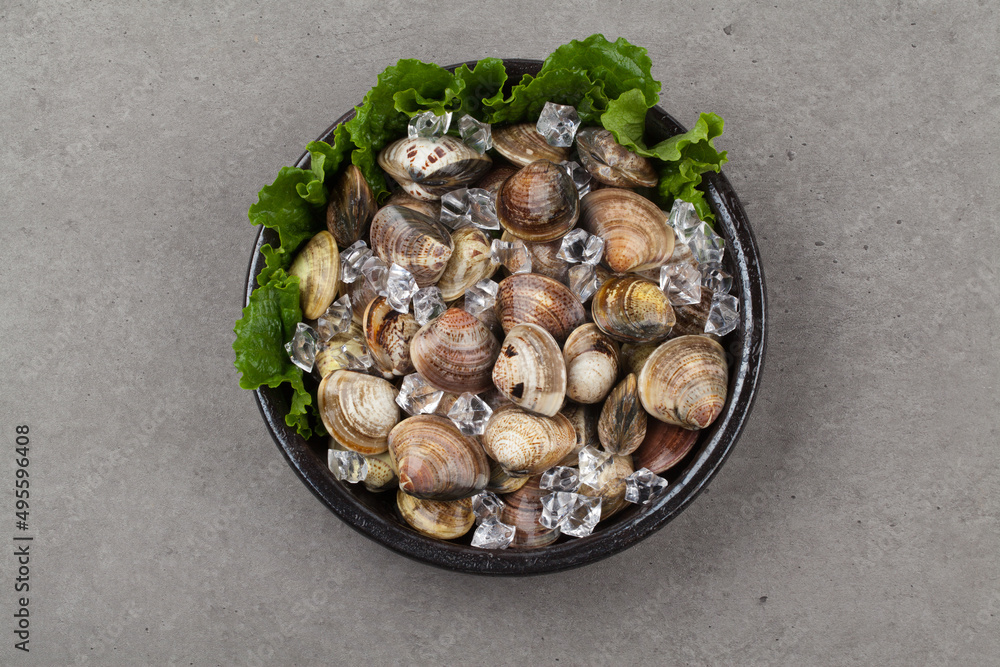 Clams, clams, fish and shellfish, seafood, cooking, food ingredients ...