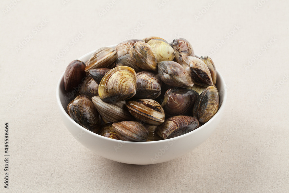 Clams, clams, fish and shellfish, seafood, cooking, food ingredients ...
