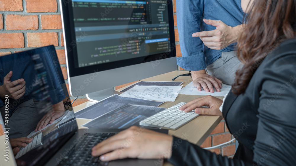 Two professional programmer cooperating and working on web site project in a software developing ...