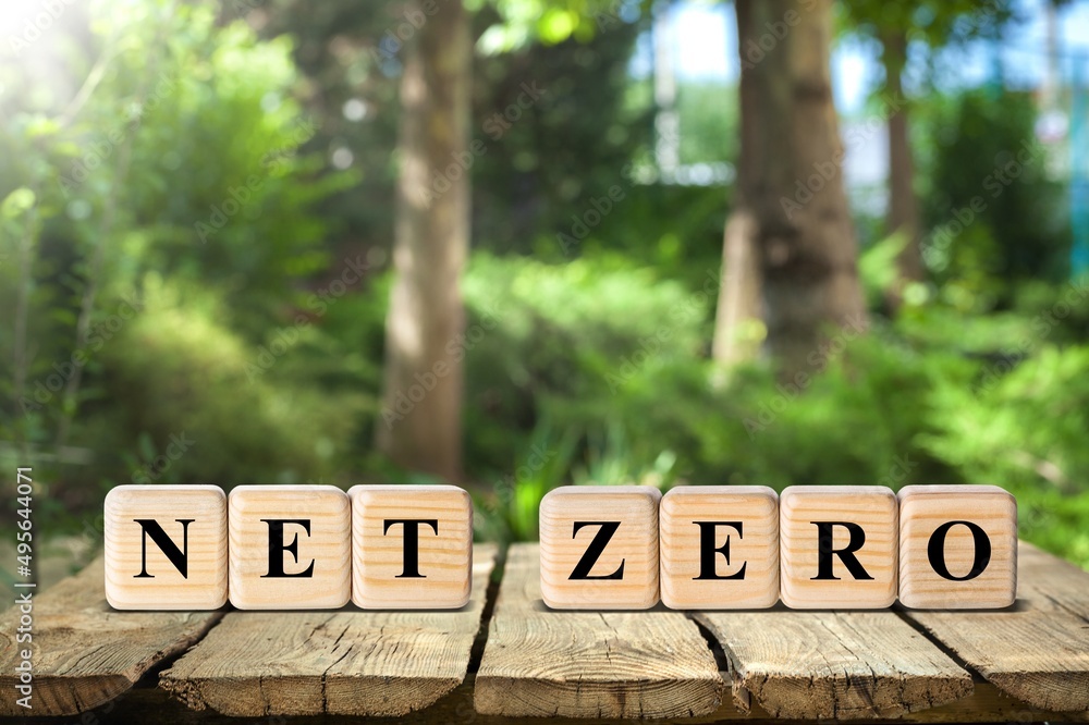 Wooden cubes with net zero icon in natural background. Net zero Carbon ...