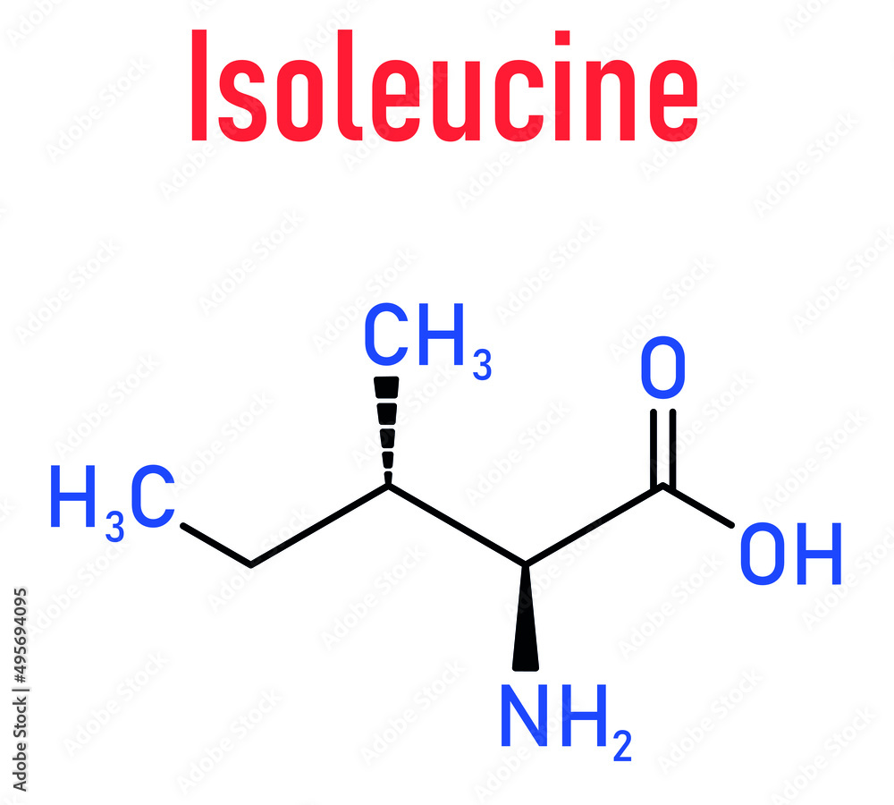 Isoleucine (L-isoleucine, Ile, I) amino acid molecule. Skeletal formula ...