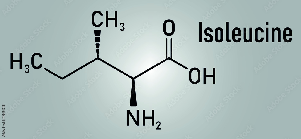 Isoleucine (L-isoleucine, Ile, I) amino acid molecule. Skeletal formula ...