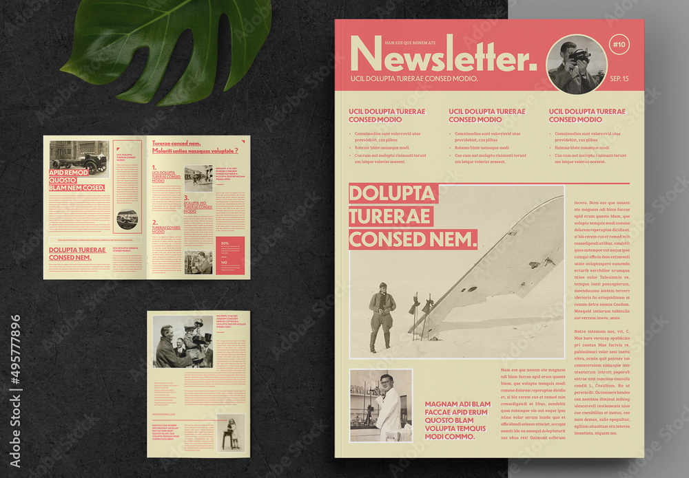 Newsletter Layout with Pink Accents Stock Template | Adobe Stock