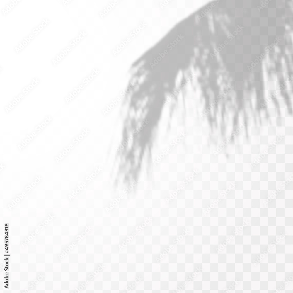 Realistic shadow tropical leaves and branches on transparent checkered ...