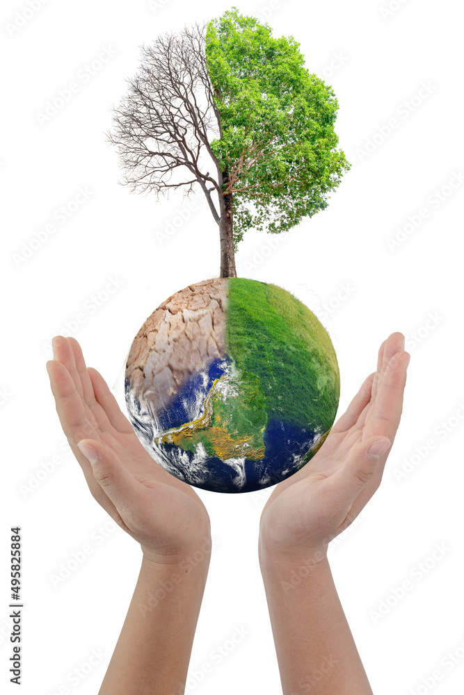 Half Human Half Tree