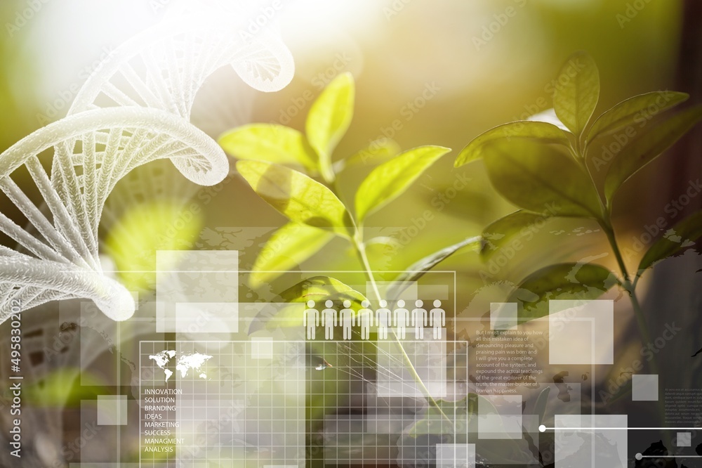 Leaf plant and environment research, DNA, Biology laboratory nature and ...