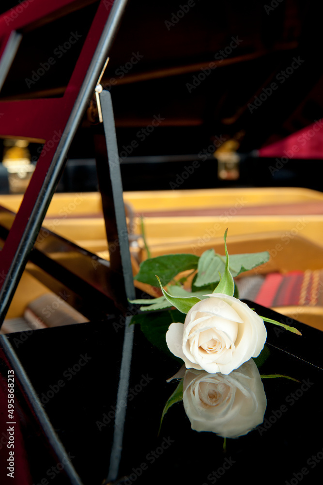 Pianos With White Roses