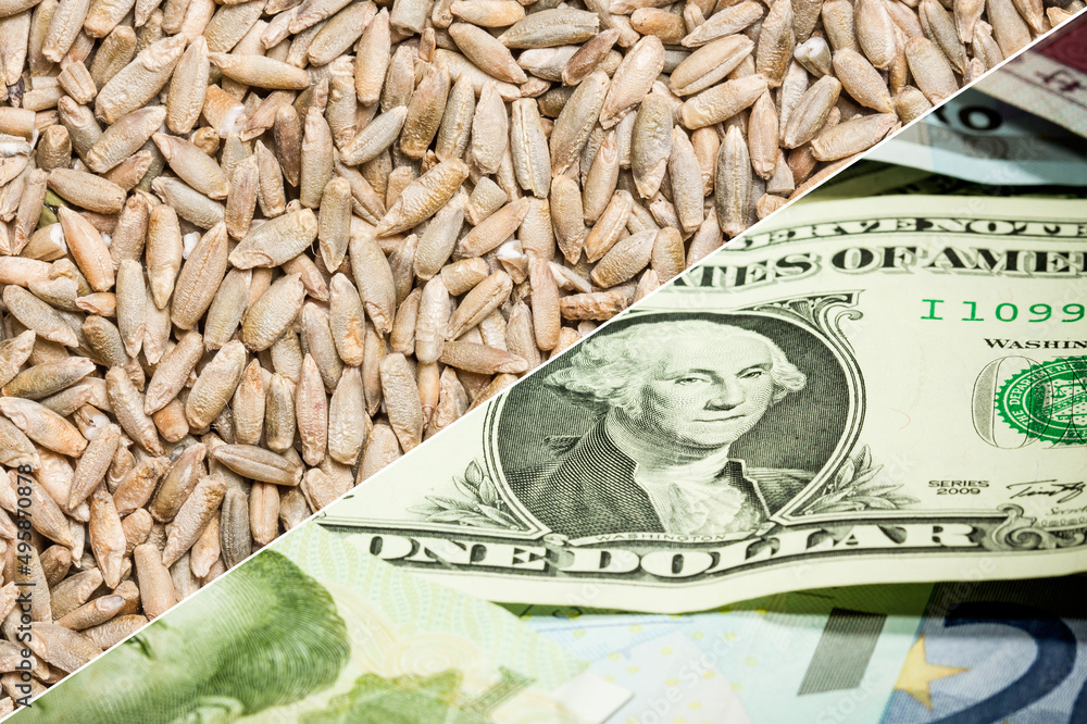 Oat price background. Food crisis. Wheat price raising. Food cost ...