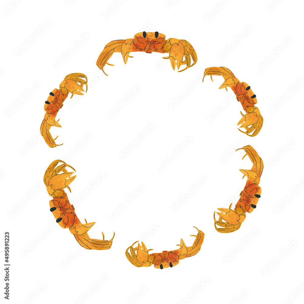 Crab vector frame. Isolated frame on white.Vector illustration crab on ...