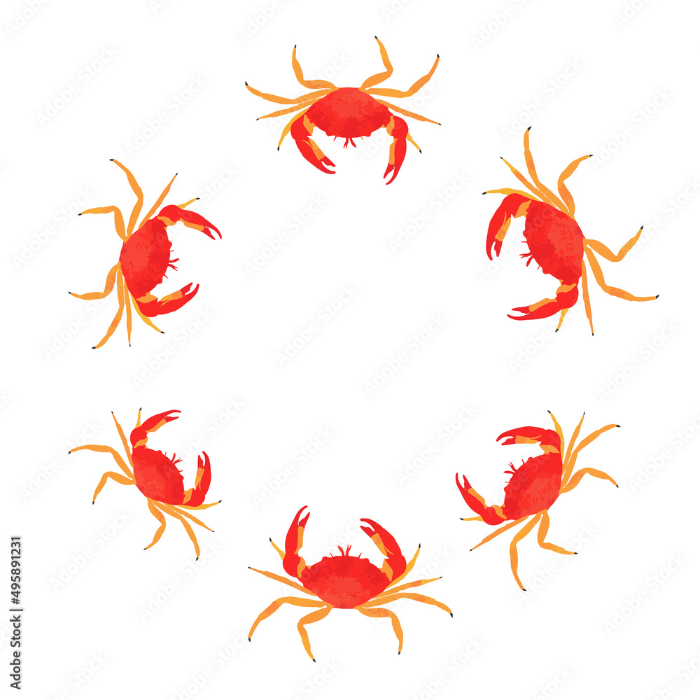 Crab vector frame. Isolated frame on white.Vector illustration crab on ...
