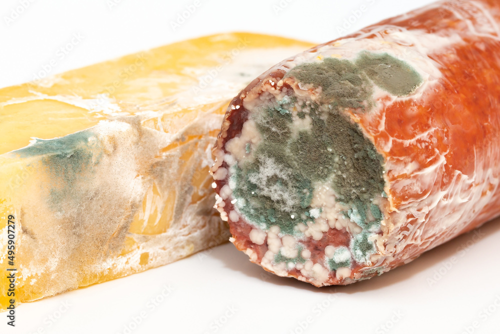 Spoiled food, sausage and moldy cheese. Mold close-up macro. Moldy ...