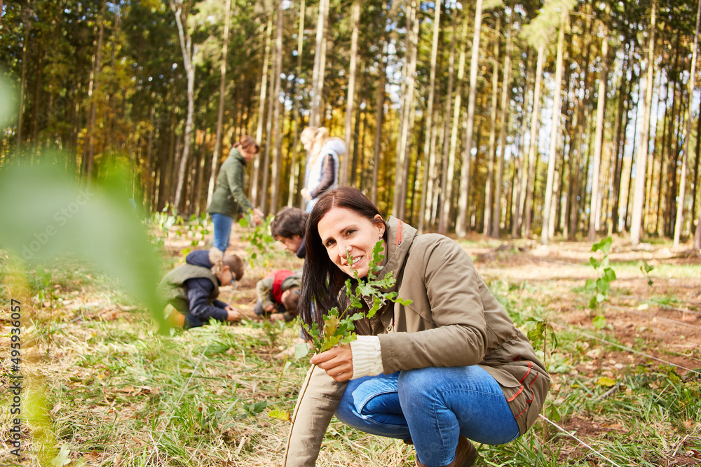 Woman with volunteers planting a tree in the forest Stock Photo | Adobe ...
