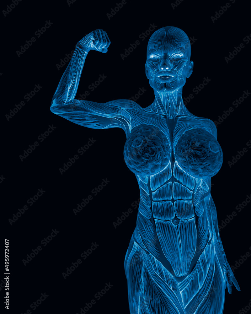 female bodybuilding in muscle maps is doing a bodybuilder pose seven in white background close ...