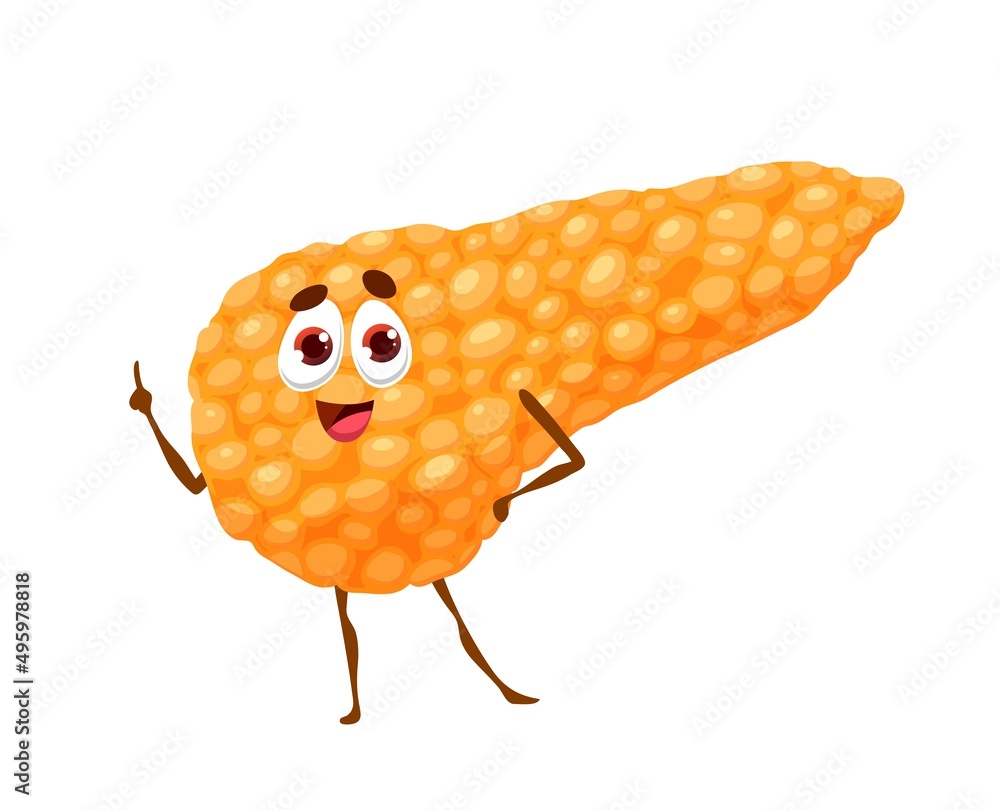 Human funny cartoon pancreas character, body and anatomy organ with ...