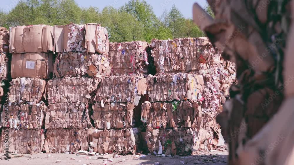 paper waste landfill. pressed waste paper and cardboard. paper ...
