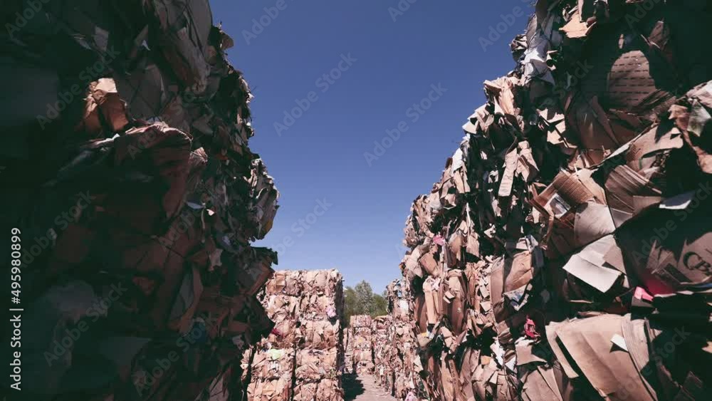 paper waste landfill. pressed waste paper and cardboard. paper ...