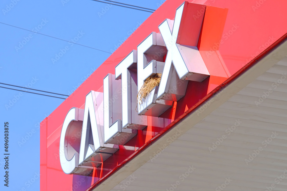 NONTHABURI THAILAND - 6th MARCH 2021: Bird nest on banner of CALTEX Gas ...