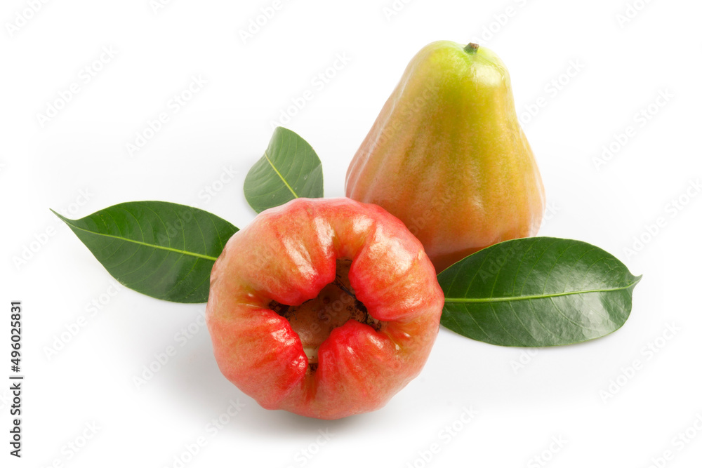 Raw Rose Apples or Chomphu named in Thai, Thailand Tropical Fruit with ...