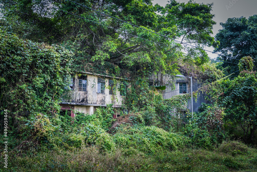 Abandoned old house covered with leaves and green, countryside of Hong ...