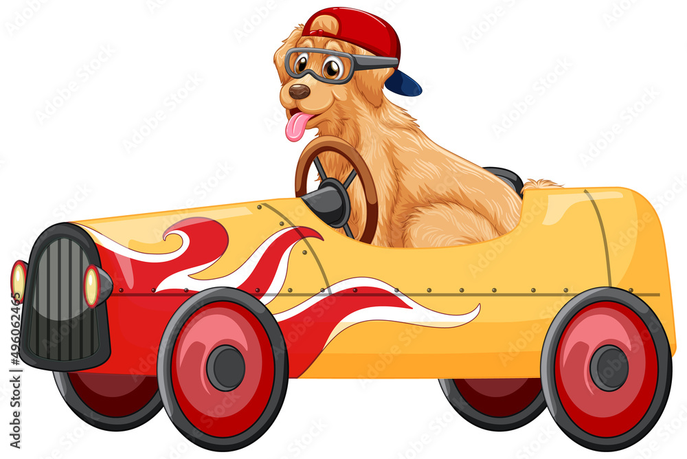 Funny dog cartoon character driving car on white background Stock ...