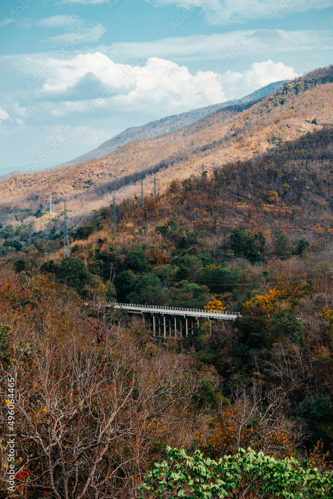 Bo Kaeo Pine Tree Garden,Op Luang National Park,Hang Dong,Hot Mae ...