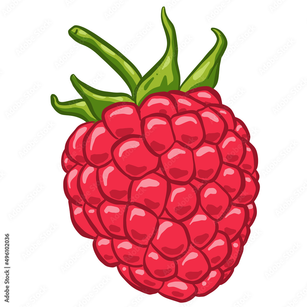 Cartoon Style Raspberry Berry Fruit Illustration Stock Vector | Adobe Stock
