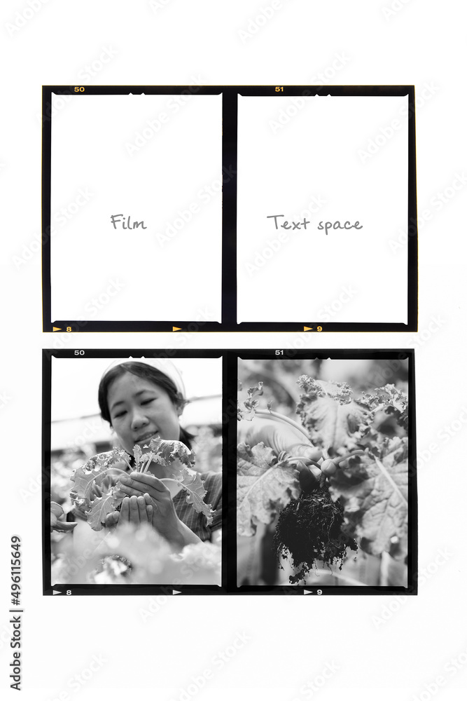 Medium format color film frame.With white space.text space. Stock Photo ...