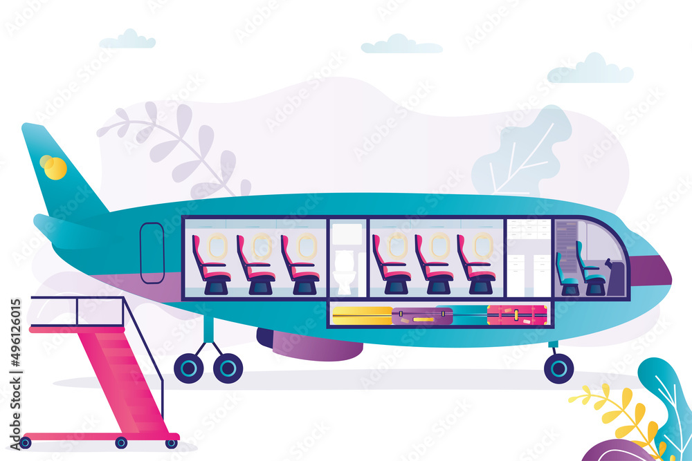 Aircraft salon interior design. Luggage compartment and cockpit. View ...