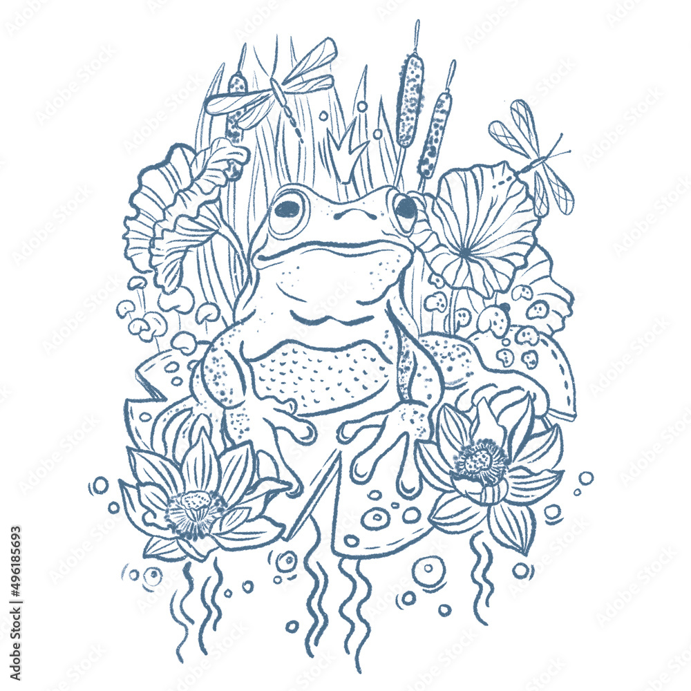 Frog in a swamp among plants, lilies, flowers, a hand-drawn line ...