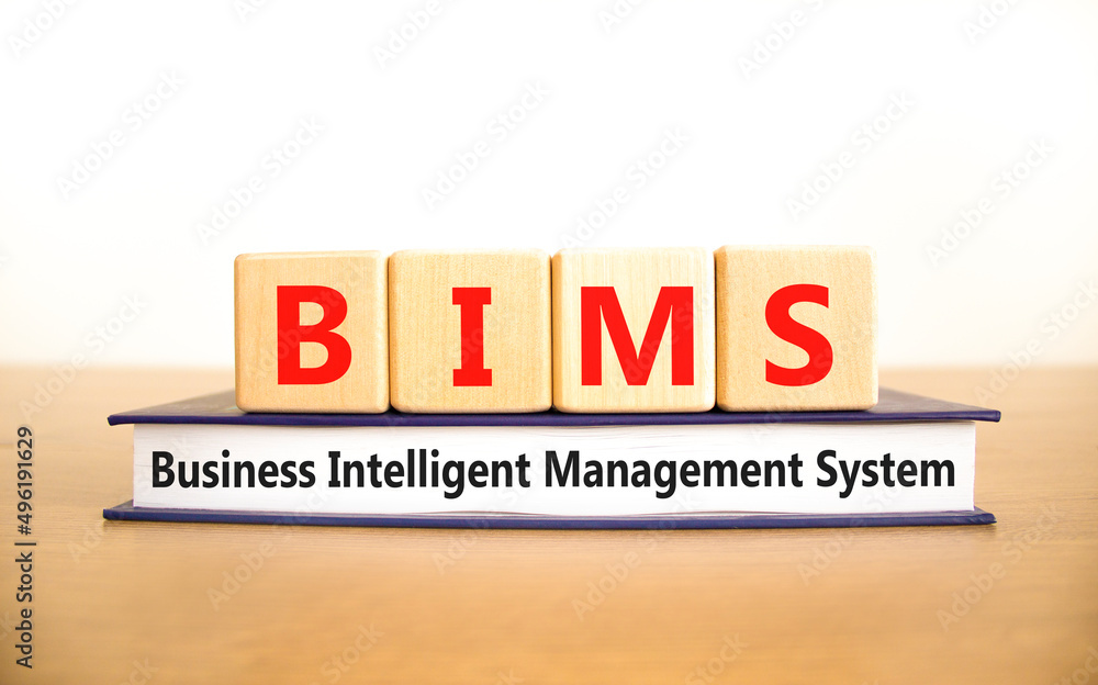 BIMS, Business intelligent management system symbol. Concept words BIMS ...