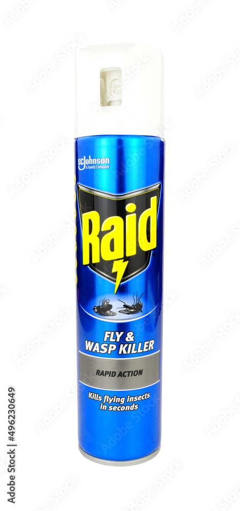 Raid rapid action fly and wasp killer insecticide aerosol spray can ...