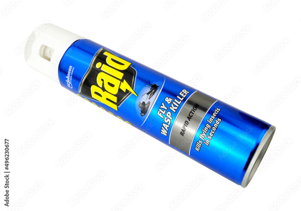 Raid rapid action fly and wasp killer insecticide aerosol spray can ...