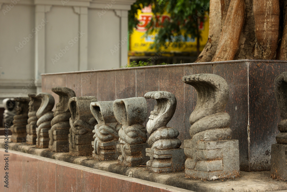 Nagaraja Temple, Nagercoil Tamilnadu India. Snake statue made of stone ...