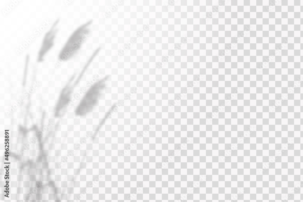 Realistic shadow tropical leaves and branches on transparent checkered ...