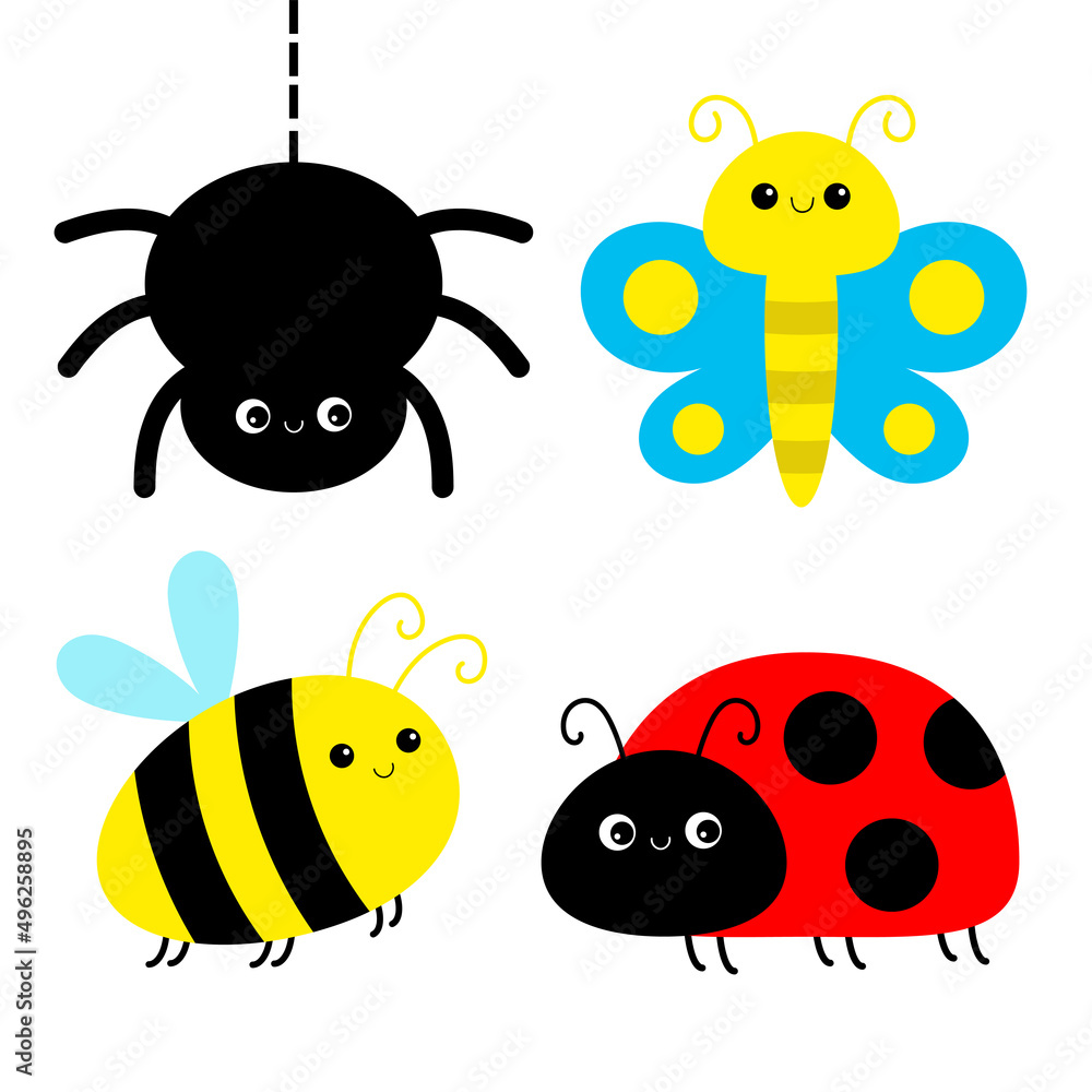 Ladybug ladybird, spider, bee bumblebee, butterfly, lady bug. Insect ...