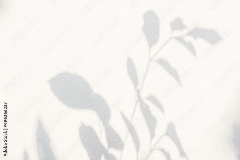 Leaf shadow and light nature tropical background. Natural leaves tree ...