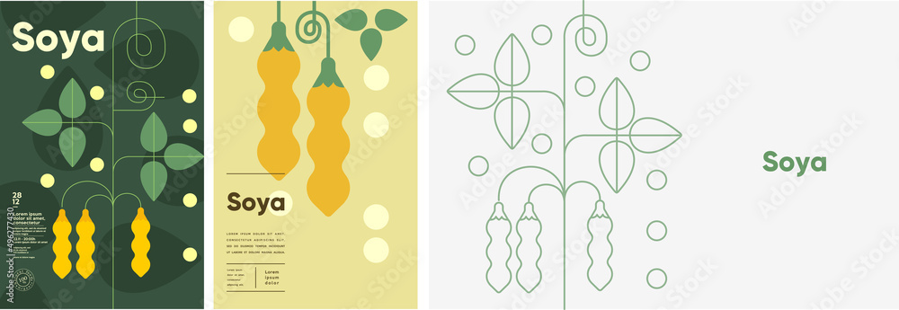 Soya. Food and natural products. Set of vector illustrations. Geometric ...