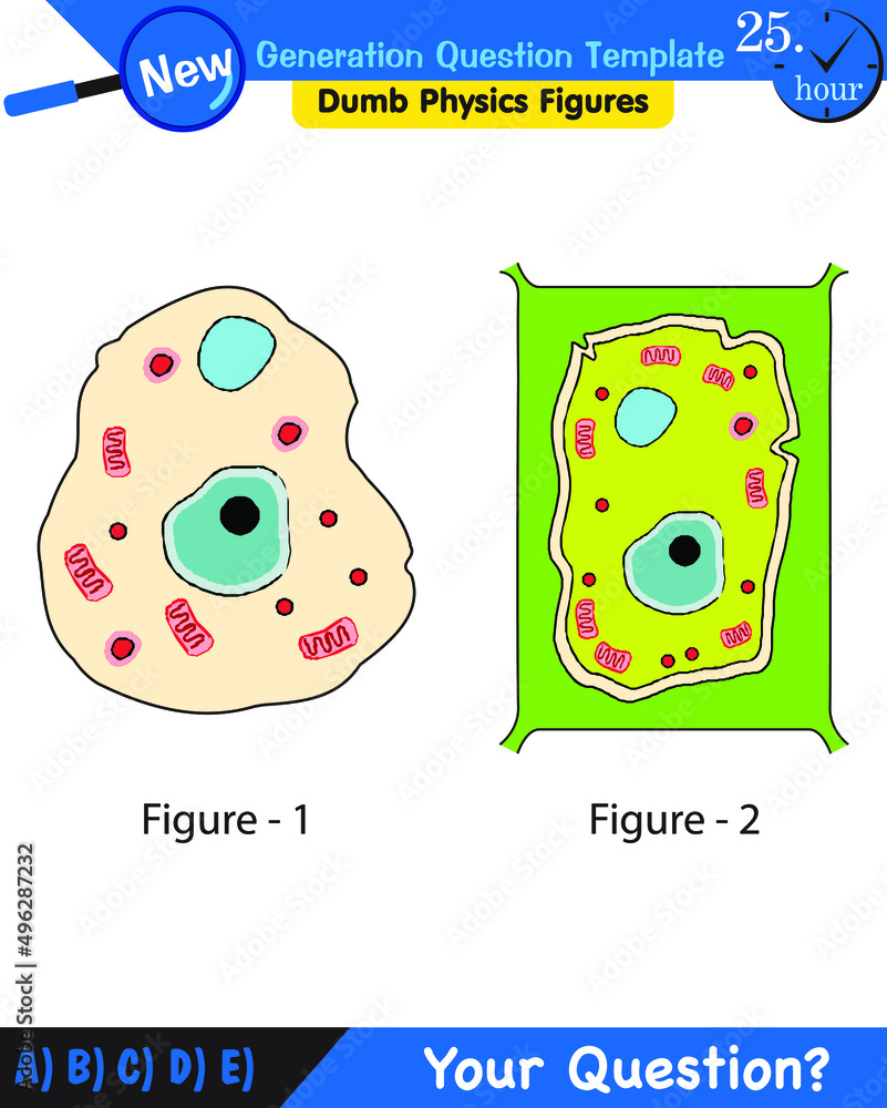 Vetor de Biology, Education Chart of Biology for Animal and Plant Cell ...