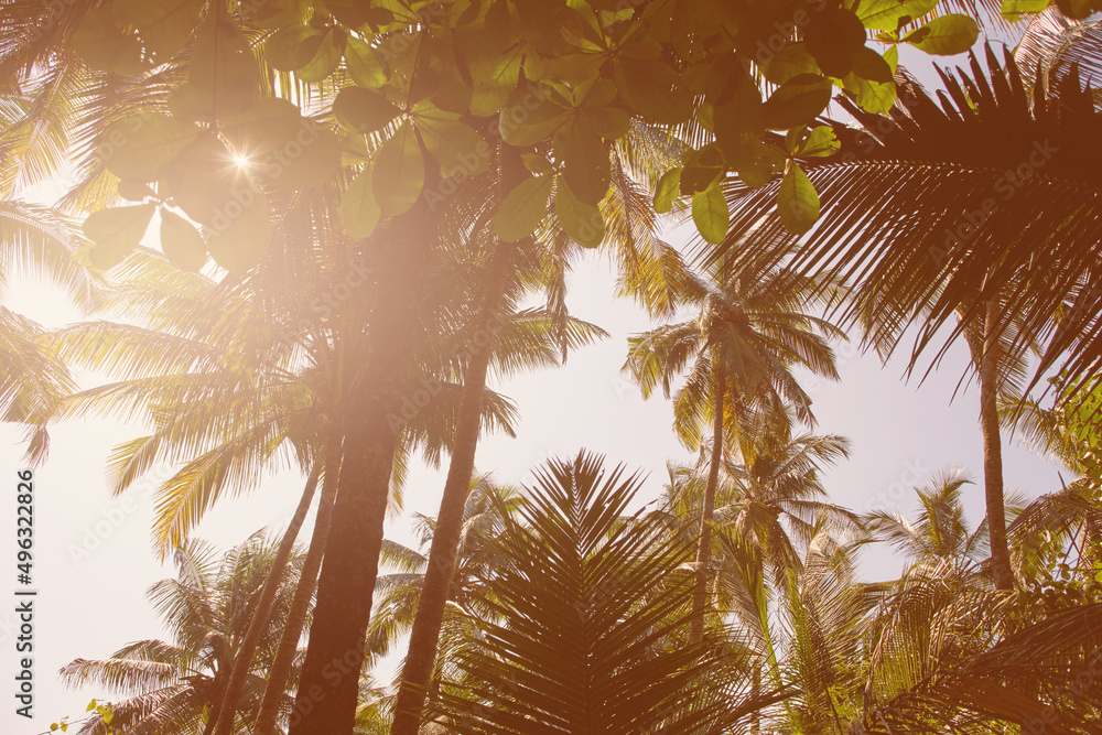 Island dreaming. Retro style image of a sun flare pouring through the ...