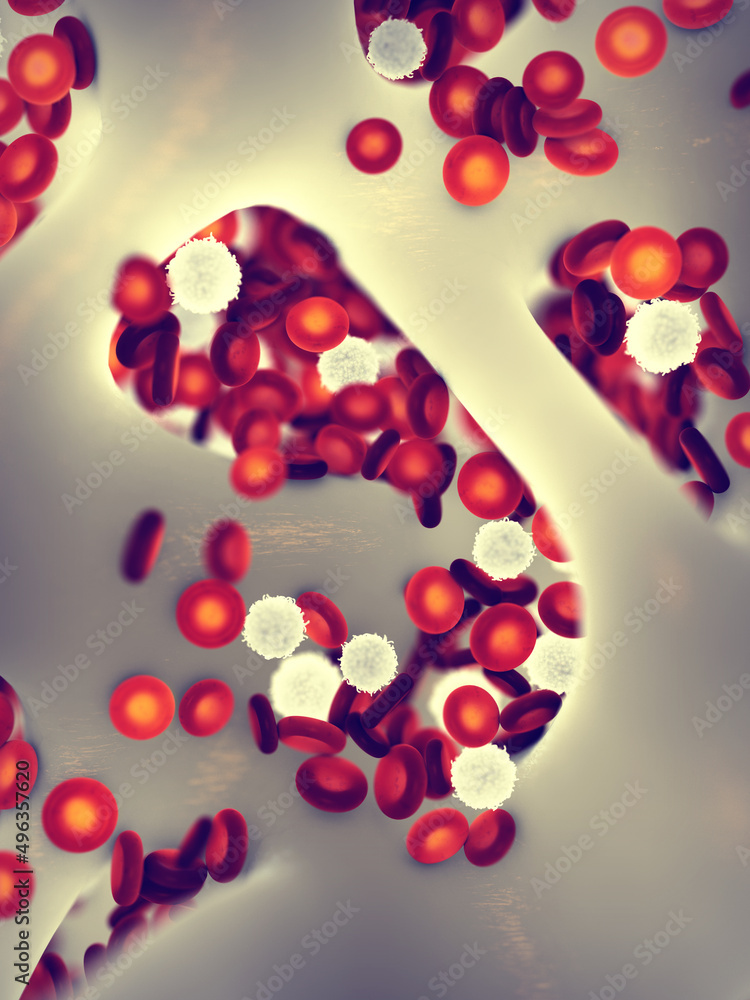 Bone marrow illustration. Bone marrow contains stem cells which ...