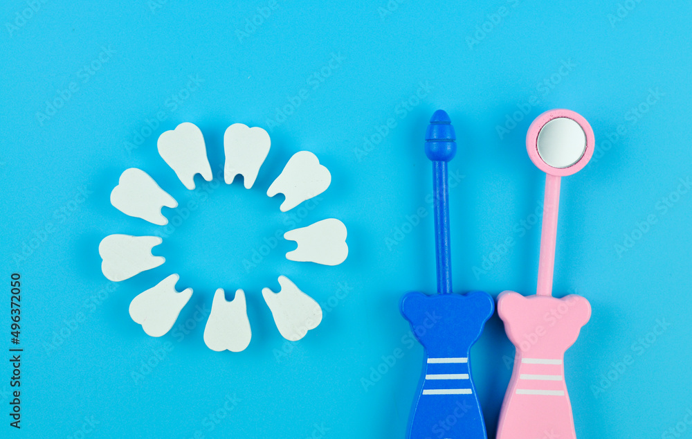 model of teeth for teaching oral hygiene. toy teeth in a circle on a ...
