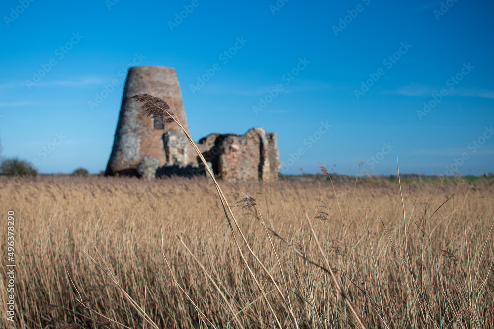 Focus on a single reed, with an out of focus St. Benet's Abbey in the ...