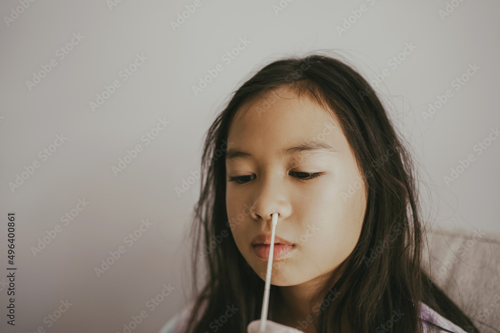 Mixed Asian preteen girl getting nasal swab test at home, Covid quick ...
