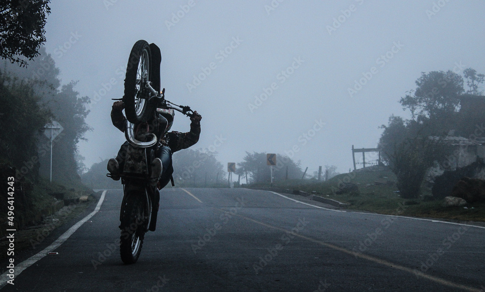 stunt, moto, paisaje, arbol, cielo, destello, gris, adrenalina ...