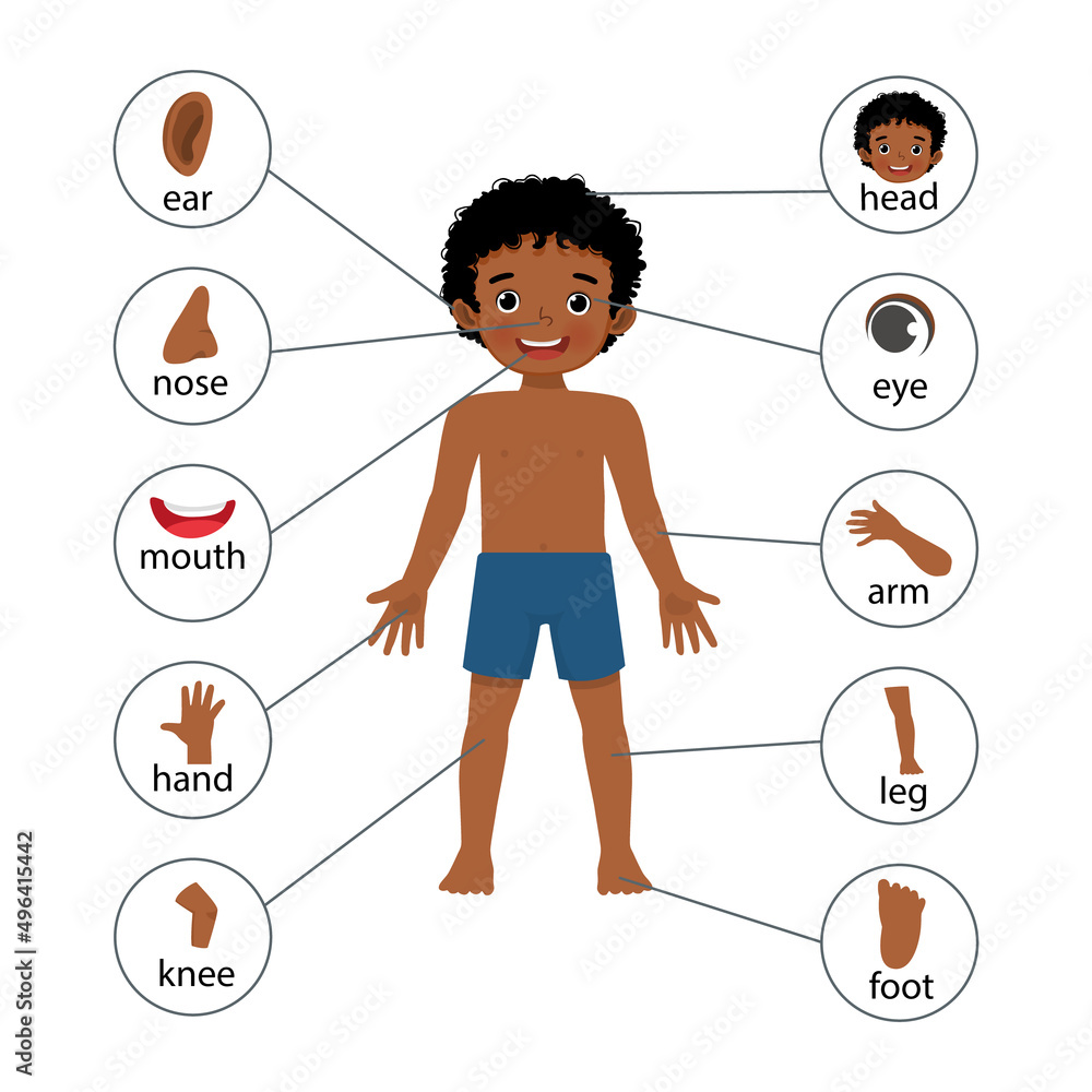 little African boy illustration poster of human body parts with diagram ...
